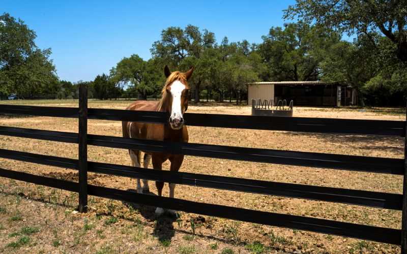 Drug (Texas) – Texas Addiction Treatment